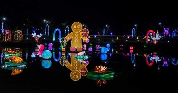 Los mejores alumbrados navideños para visitar en 2025 - HSB NOTICIAS